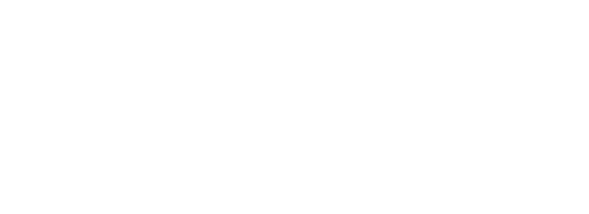 Solaris Vision
